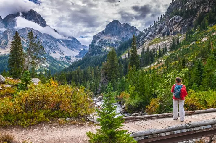 Taman Nasional Grand Teton