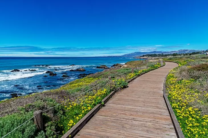 Moonstone Beach ku California