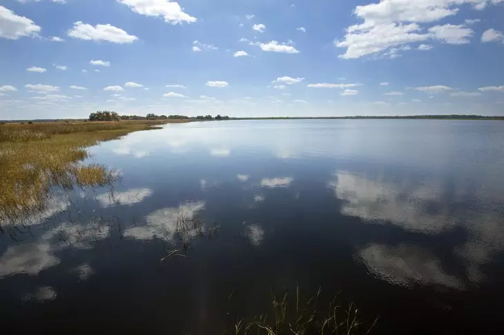 Tohopekaliga järv