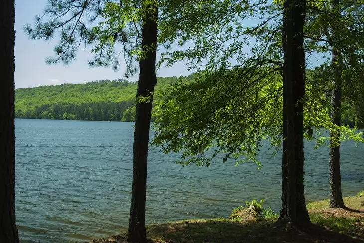 Guntersville'i järv, Alabama