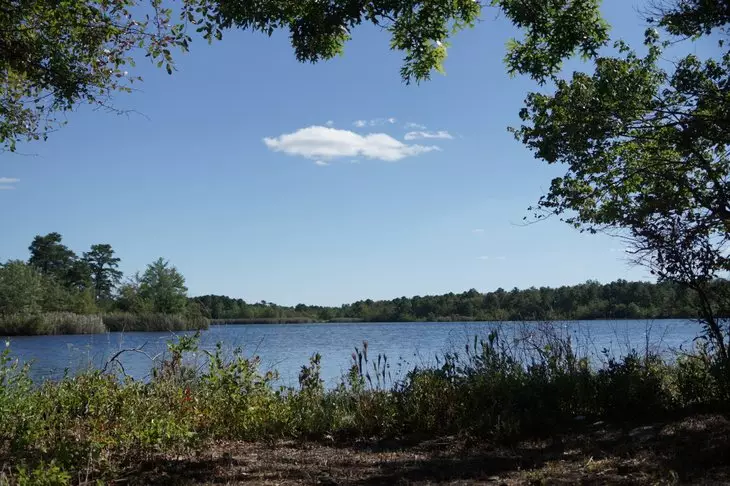 Pine Barrens Lakes