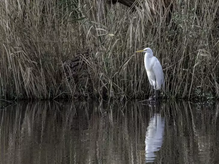 Mattamuskeeti järv