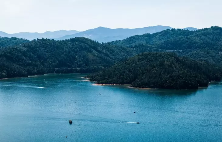 Lake Shasta