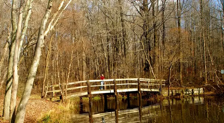 Lums Pond, Delaware