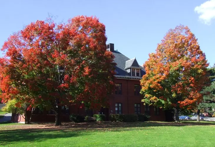 タフツ大学