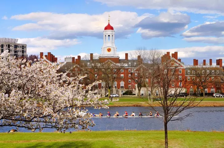 Harvard University