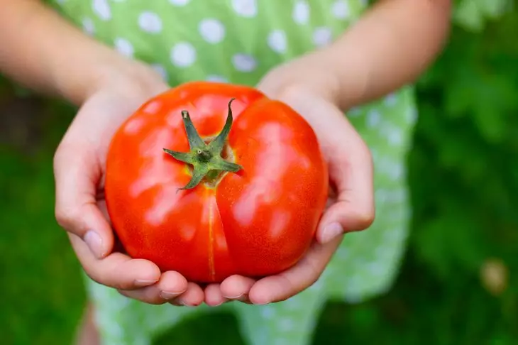 Макс Топчил / Shutterstock.com