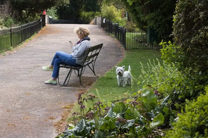 10 coisas que você nunca deve fazer no parque para cães 1370_8