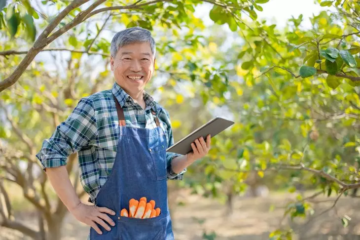 Senior man aan het werk in de landbouw