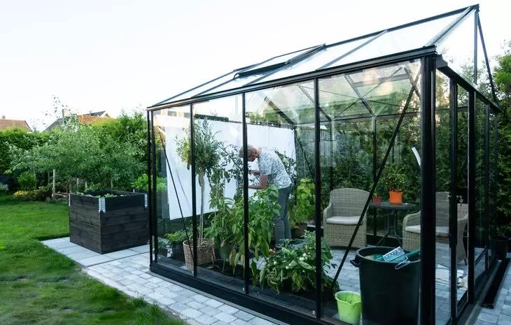 Lalaking nag-aalaga ng mga halaman sa isang greenhouse sa likod-bahay