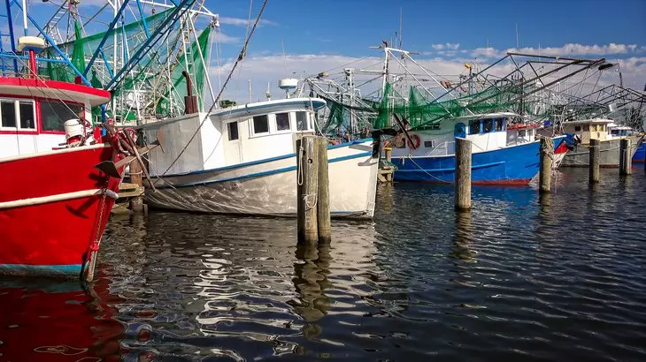 Biloxi, Mississippi'de balıkçı tekneleri