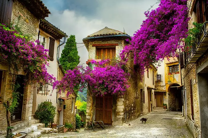 Provence, Pháp