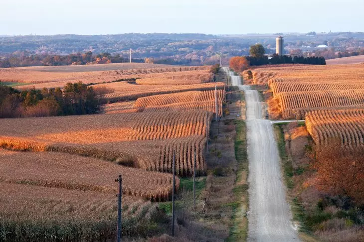 Jalan désa di tengah sawah