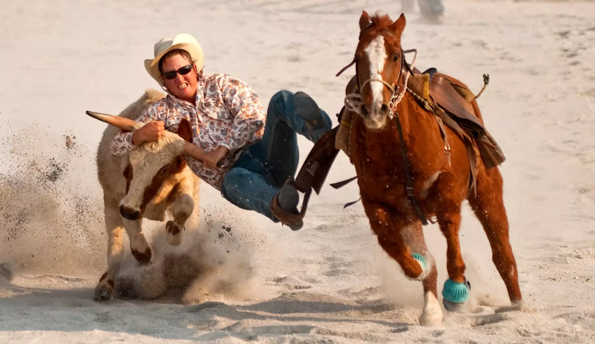 Què guanyen els cowboys muntant el circuit de rodeo