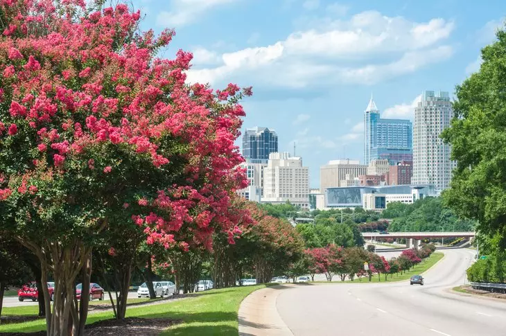 Raleigh, Carolina de Nord