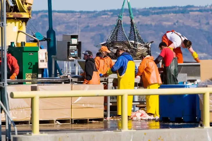 Pescadors en un vaixell a Homer