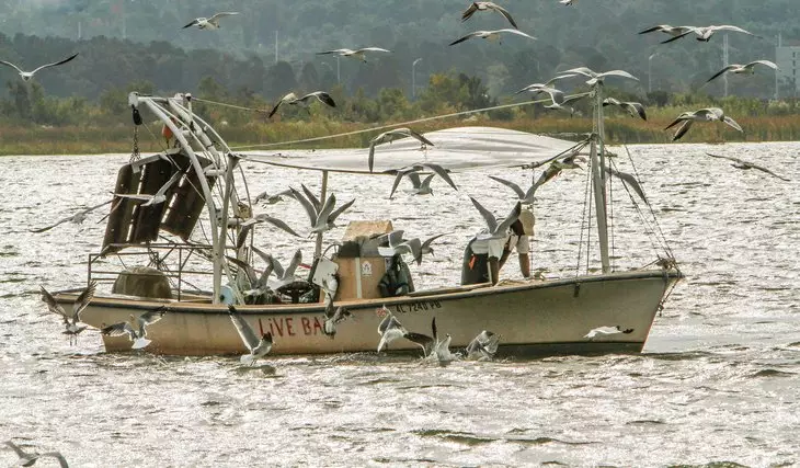 Pescador a la costa d'Alabama