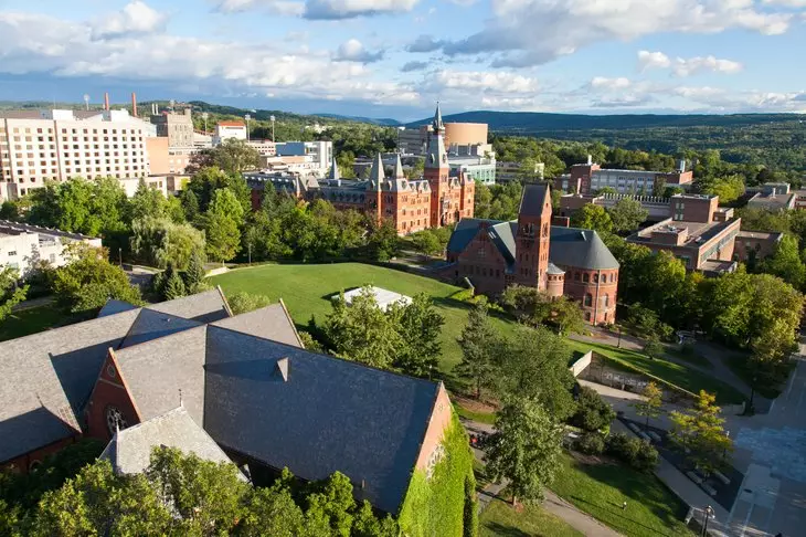 Univesithi ea Cornell