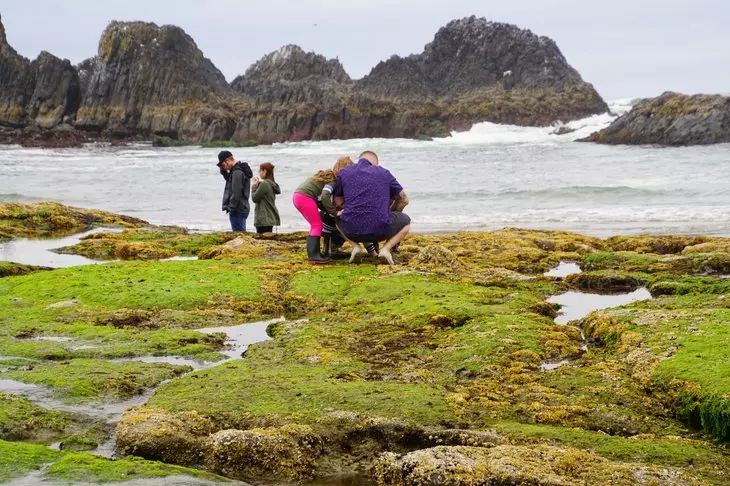 Jauna šeima Seal Rock paplūdimio vandenynas, Niuportas, Oregonas