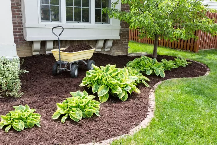 Cama de jardín con mantillo