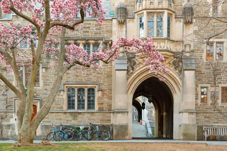 Princeton University