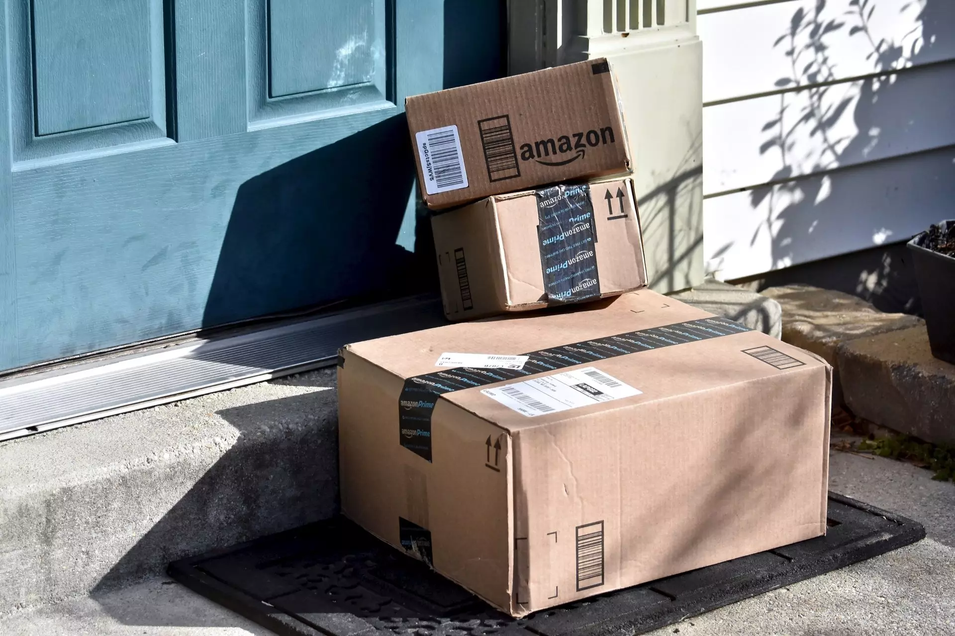 Amazon-skatoloj viditaj amasigitaj sur sojlo