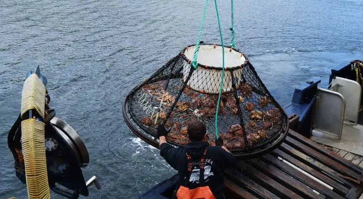 2022. aasta 10 kõige surmavamat tööd 2198_11