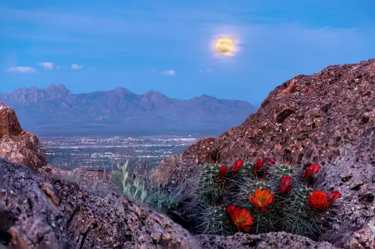 Las Cruces, Mexiko Berria