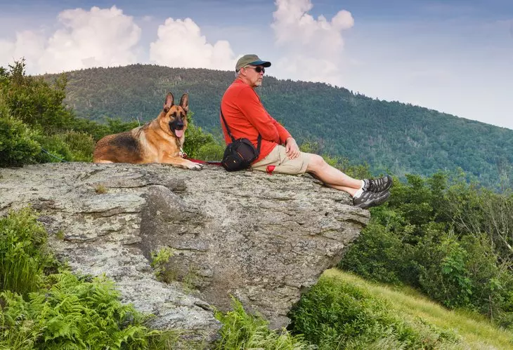 En äldre man och schäferhund sitter på en klippa på Roan Mountain, som ligger längs delstatslinjen Tennessee-North Carolina i Appalacherna