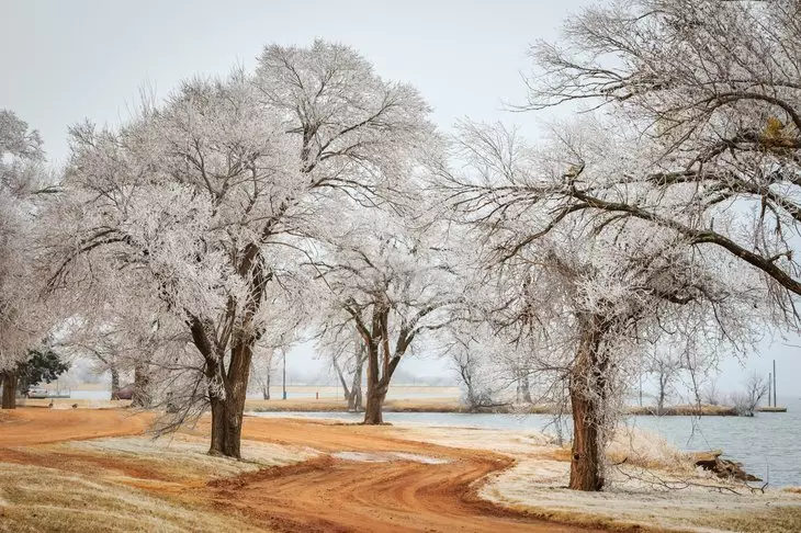 Hoarfrost berhampiran Tasik Hefner di Oklahoma City