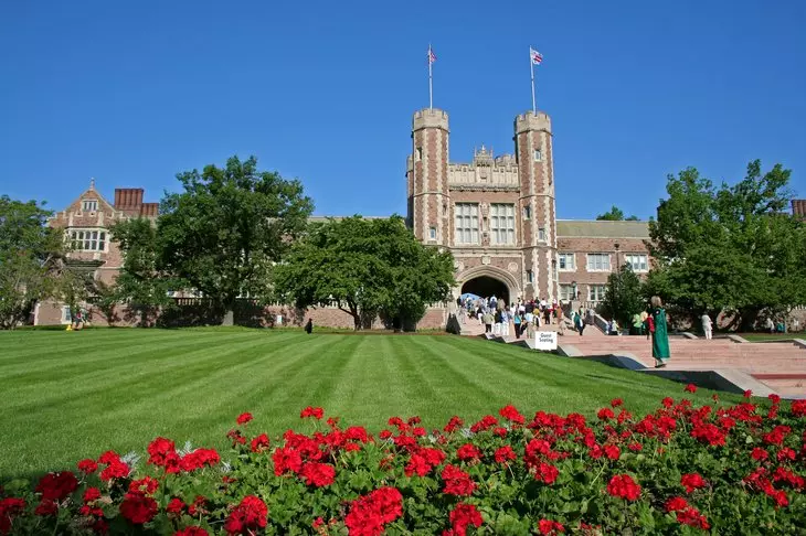 Université de Washington à Saint-Louis