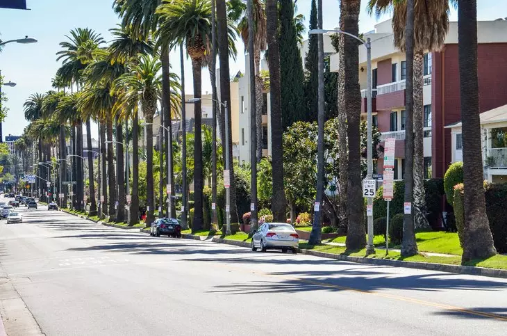 pitonuu o Los Angeles.