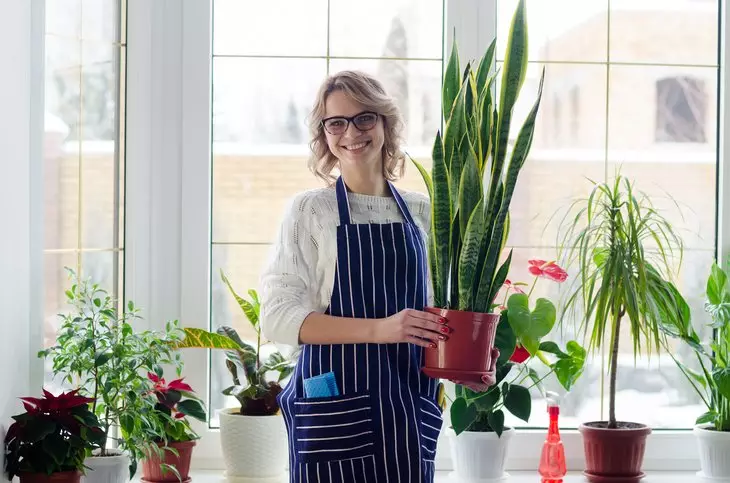 En kvinne bryr seg om potteplanter