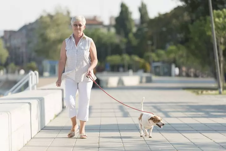 20 puikių darbų ne visą darbo dieną pensininkams 438_5