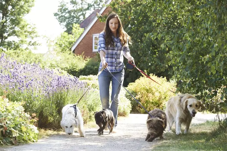 Vrouw wandelende honden