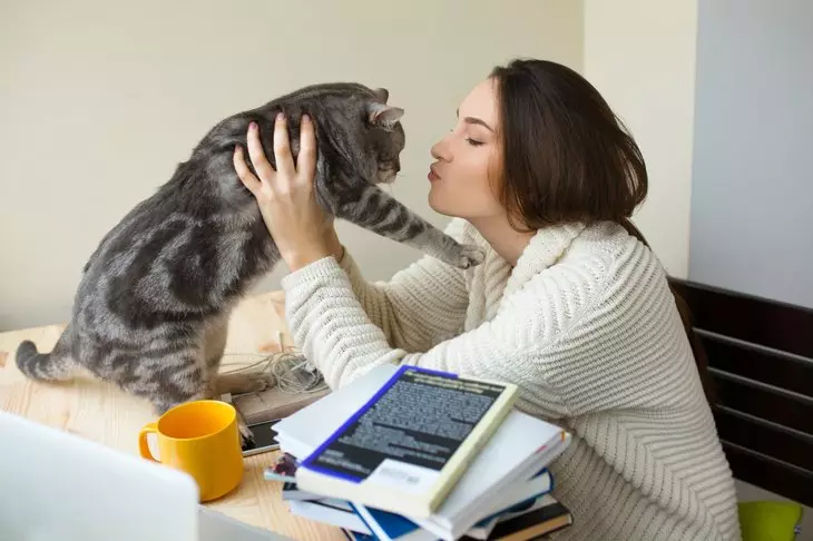 awéwé kissing ucing