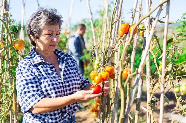 Pensionārs, kas dzīvo laukos