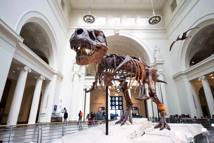 Field Museum