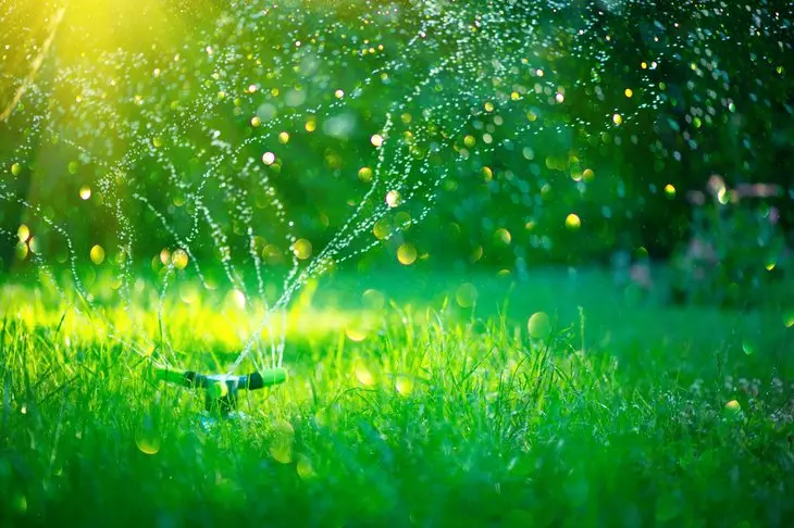 Ruwan sprinkler a kan lawn